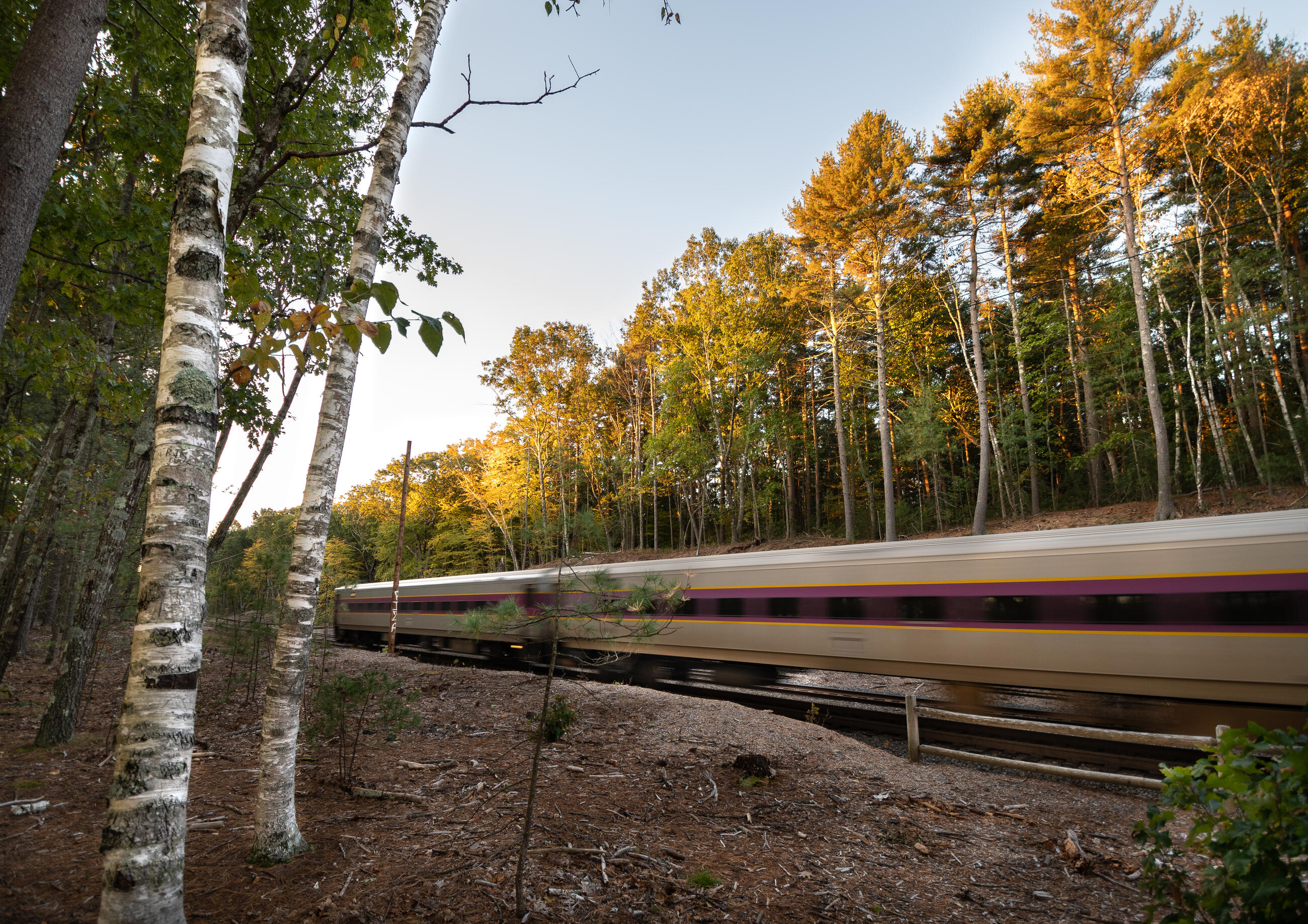 Fall Rail Ride | Destinations | MBTA