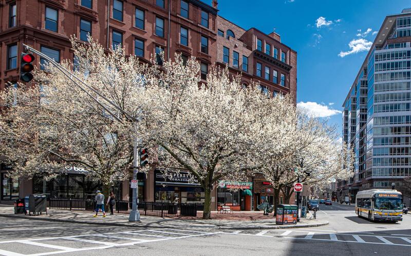 Spring 2026 Better Bus Network Service Changes | MBTA